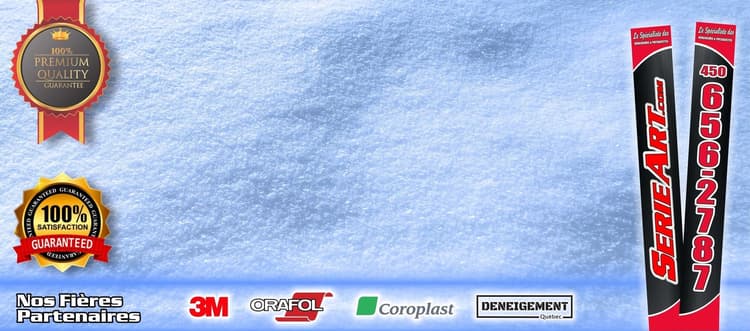 Balises de déneigement au Québec | Accueil | Serie Art